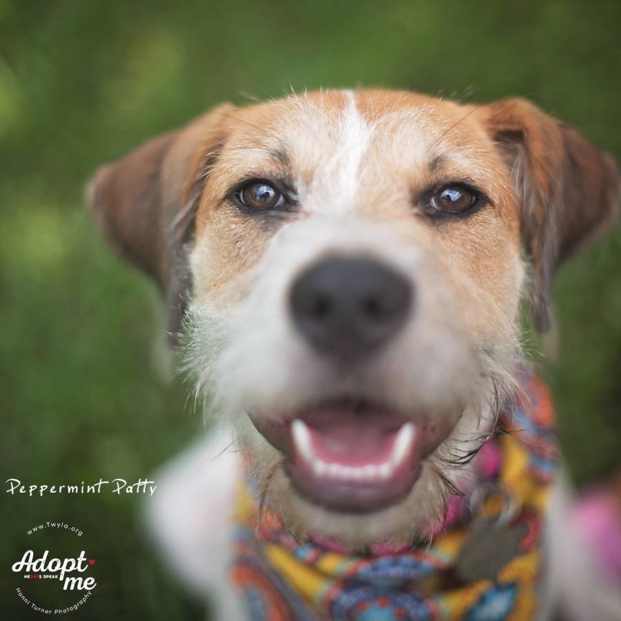 Peppermint Patty – Twyla's Friends