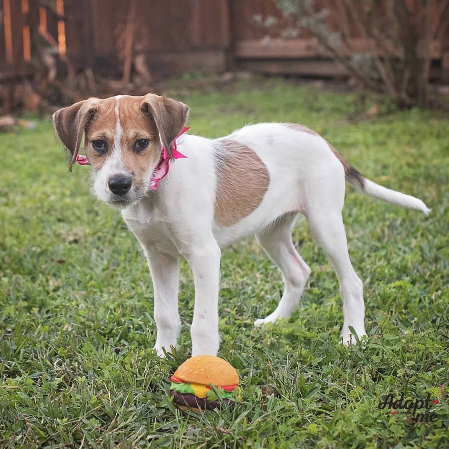 Peppermint Patty – Twyla's Friends