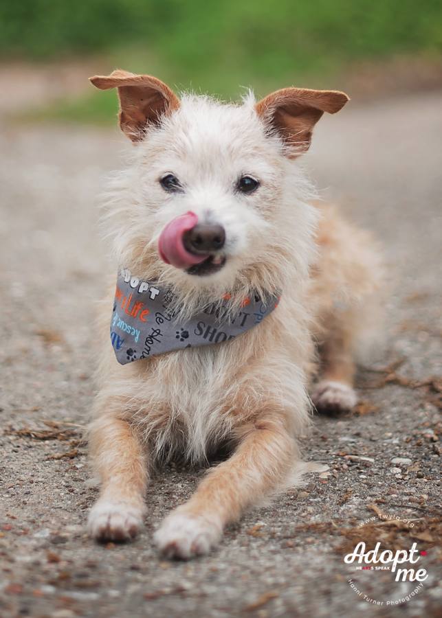 Mr.Buttons – Twyla's Friends