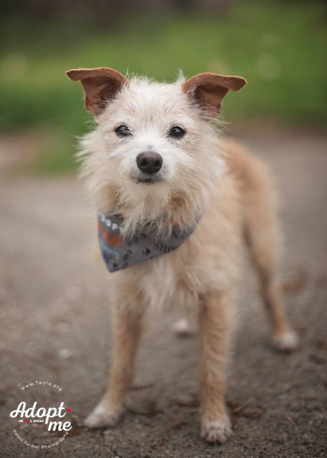 Mr.Buttons – Twyla's Friends